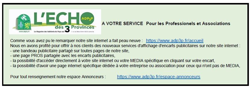 Espace Annonceurs